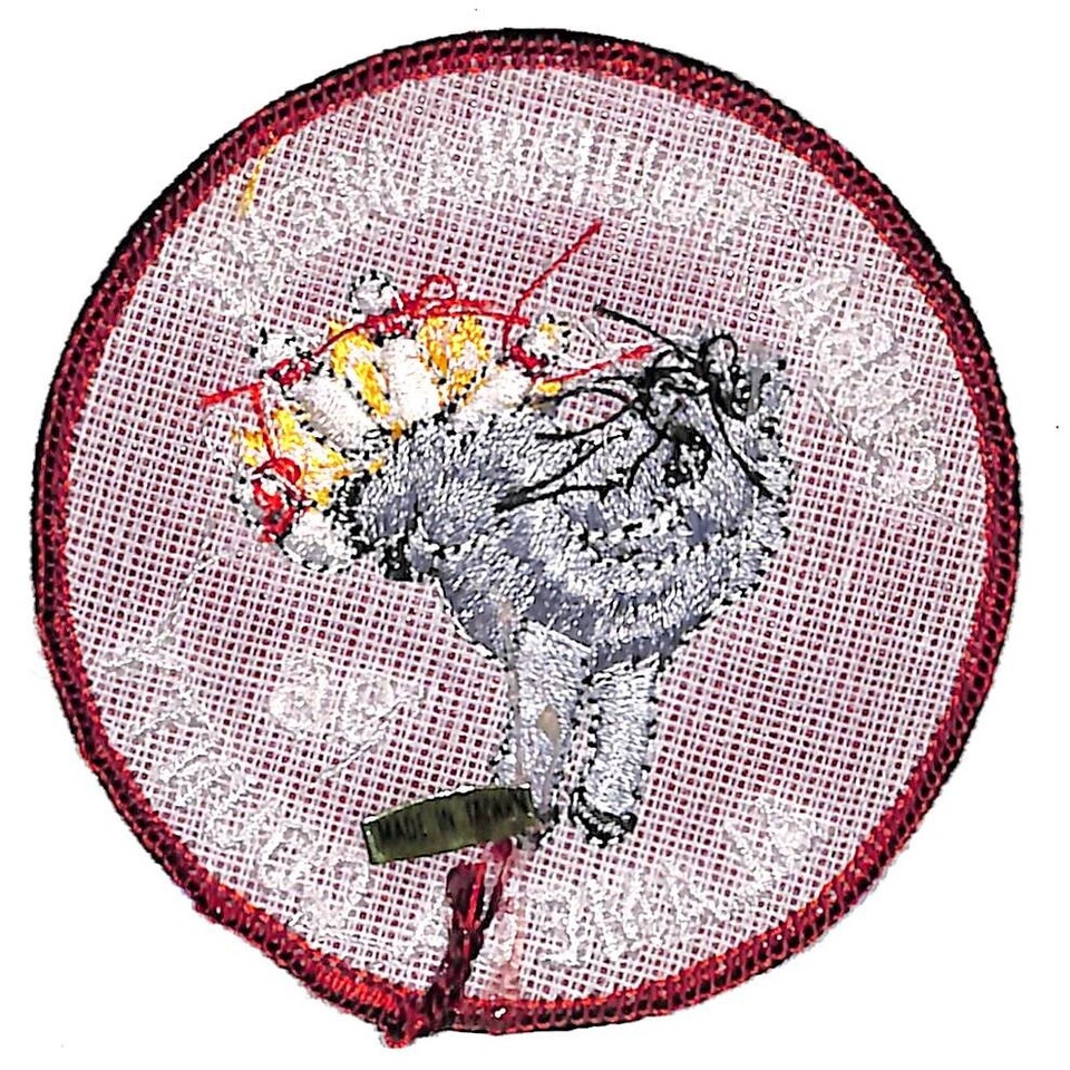 '96 Alameda County Tournament CWBA Embroidered Bowling Patch | eBay