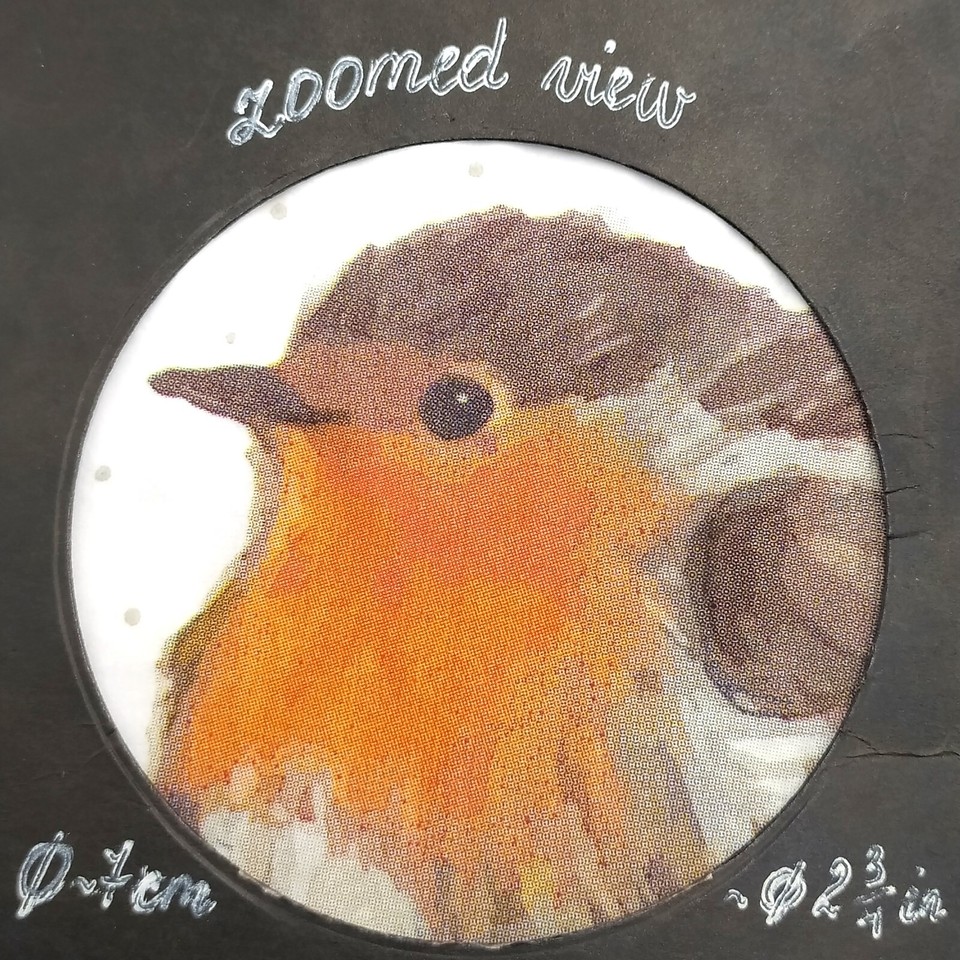 T704# 3 x Single Paper Napkins For Decoupage Big Fat Robin Bird On ...