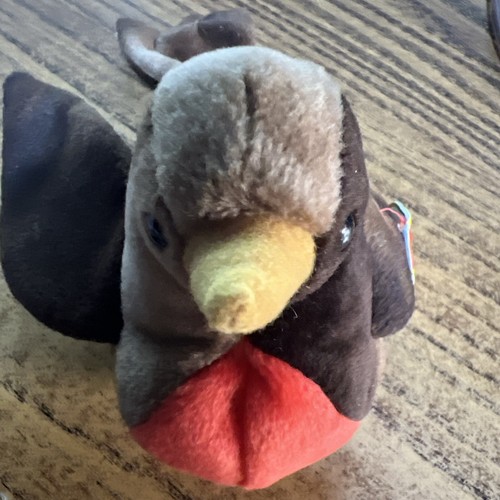 TY - "Early" Beanie Baby - Bird - ORIGINAL (1998) ERRORS | eBay