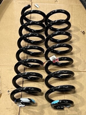 NEW OEM Ford SUPER DUTY Coil Spring 5C34-5310-ADE | eBay