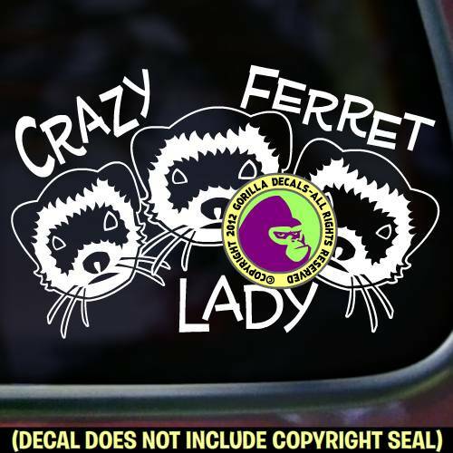 CRAZY FERRET LADY Vinyl Decal Sticker Ferrets Weasel Love Sign Car ...