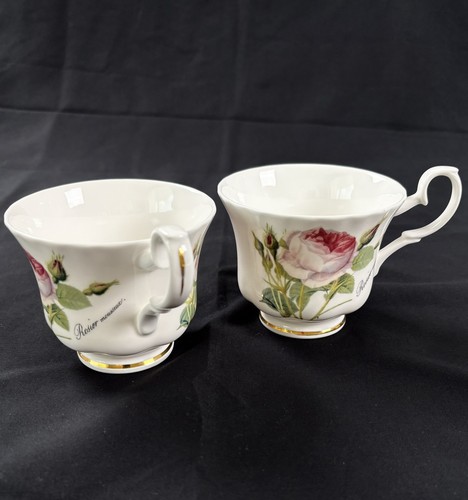 Roy Kirkham 2 coffee cups set Redouté Roses Fine Bone China Made in ...