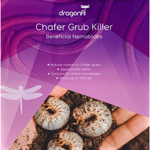 Dragonfli Chafer Grub Killer Nematodes - Natural Pest Control - 4 Unit ...