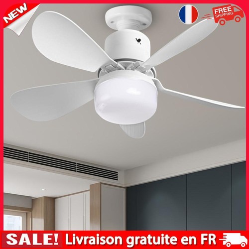 fr Ceiling Fan Light with Remote Wireless Fan for Home Office(White ...