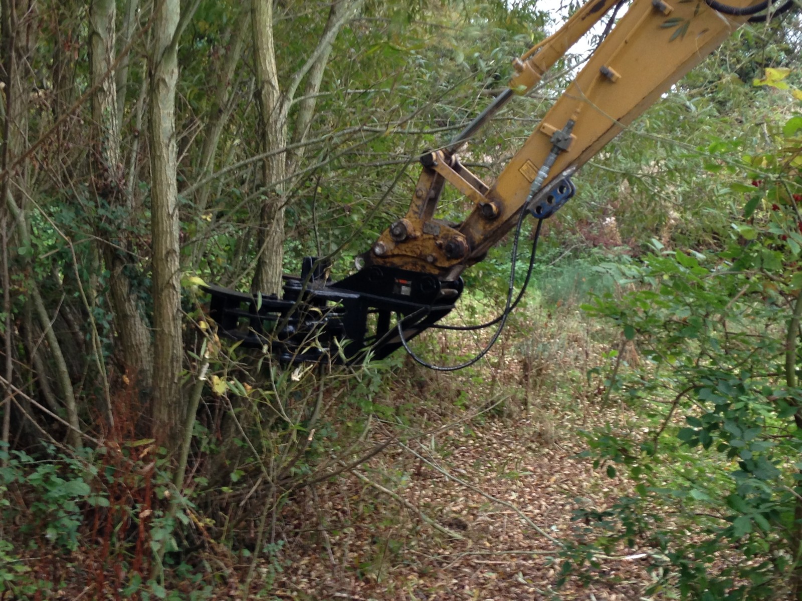 New Hardlife 060TSH Excavator Tree Shear - 4-9T Diggers - Price inc ...