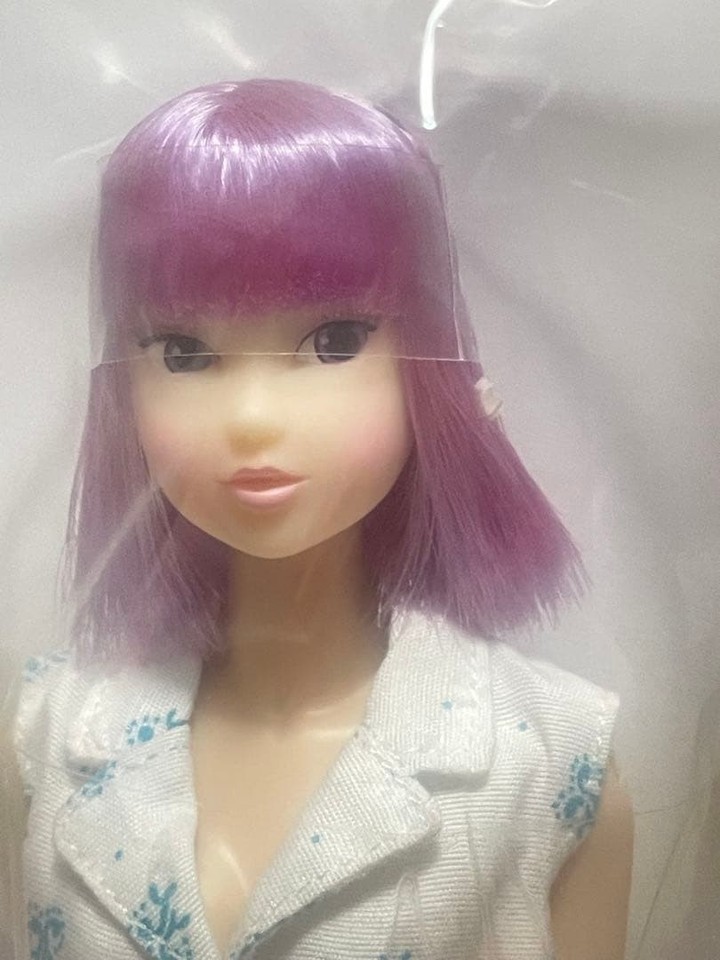 PetWorks Sekiguchi Minna de Tsukuru momoko DOLL 2018 Limited RARE Item Unused | eBay