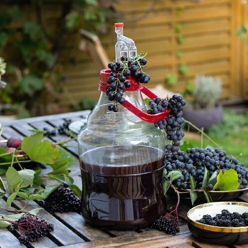 Plastic Jar Demijohn 10L with Handle for Wine Fermenting Storing Home ...