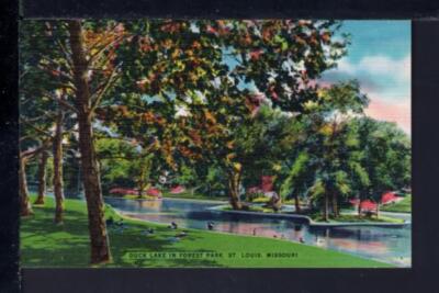 Postcard - Missouri - St Louis - Duck Lake | eBay