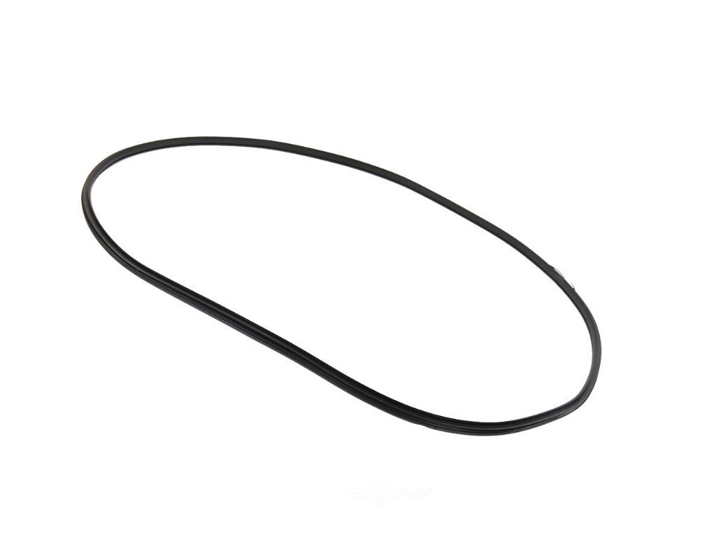 Door Seal Mopar 68402032AA fits 19-22 Ram 1500 for sale online | eBay