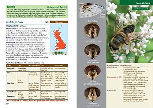 Britain's Hoverflies A Field Guide Revised and Updated Second Edition ...