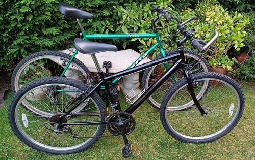 Raleigh Max Ogre 15 Mountain Bike Working & Avio Apollo 21" Which Needs ...