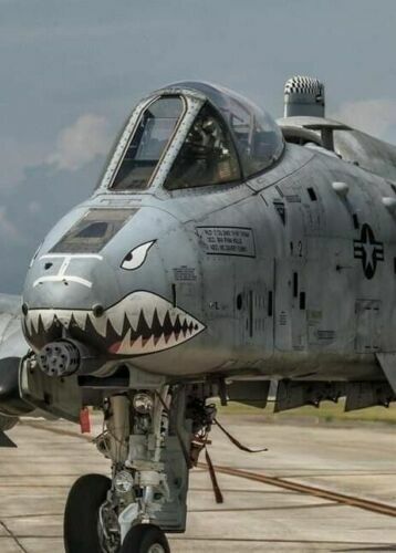 A10 Warthog Shark