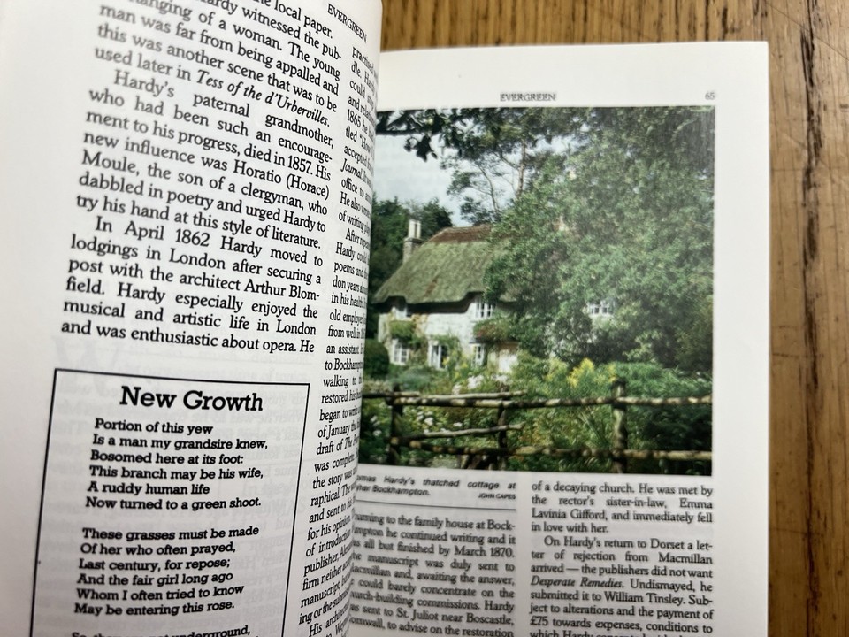 Evergreen Magazine Magazines 1980s Social History Interest 1985 1986 ...