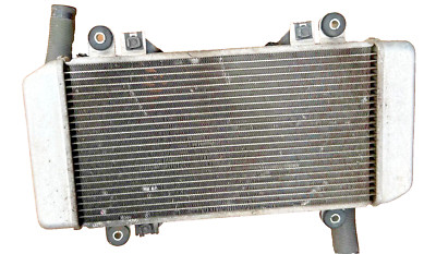 2013-17 Kawasaki Ninja 300 EX 300 Radiator with fan motor and hoses ...