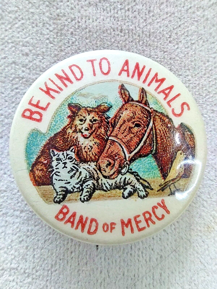 Antique Celluloid Be Kind to Animals Band of Mercy Pledge Pin Back ...
