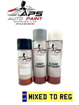 Aerosol Spray Paint Kit Mixed By Car Registration Reg VIN Plate Chassis ...