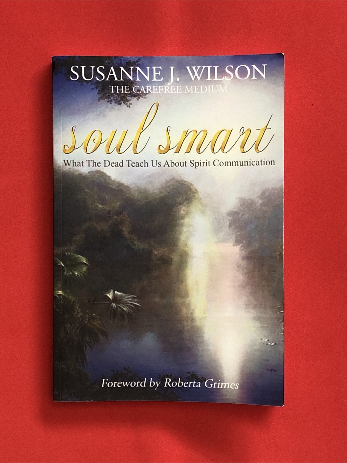 Soul Smart by Susanne Wilson (2017, Trade Paperback) for sale online | eBay