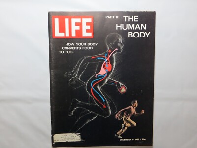 Life Magazine December 7th 1962 "The Human Body Part II" 7E | eBay
