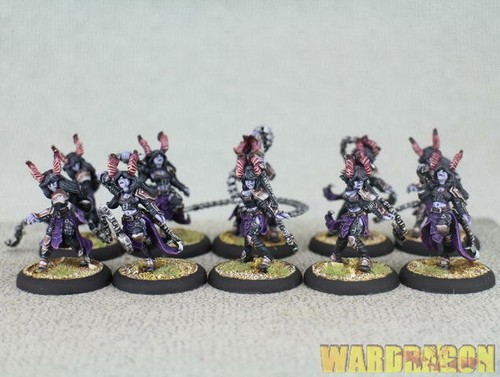 30mm Warmachine WDS painted Cryx Units Satyxis Raiders n25 | eBay
