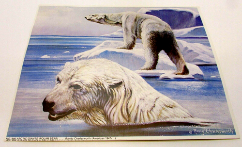 Arctic Giants Polar Bears 8x10 Vintage Print 680 Randy Charlesworth ...