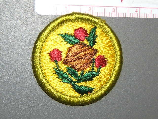 Boy Scout Merit Badge Fruit & nut growing (blue pb) circa '76-'02 2570R ...