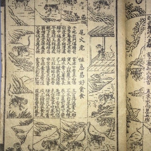 Antique Chinese Divination Books Thread-Bound (演禽相法秘籍) Set of 4 ...