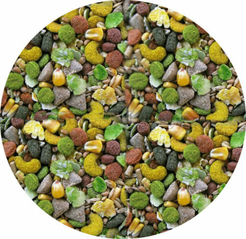 Rat Food 10kg 5kg 3kg 2kg 1kg 700g 500g REGGIE RAT Complete Muesli Food ...