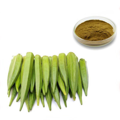 100g Organic Okra Extract Powder 10:1 Qiu Kui | eBay