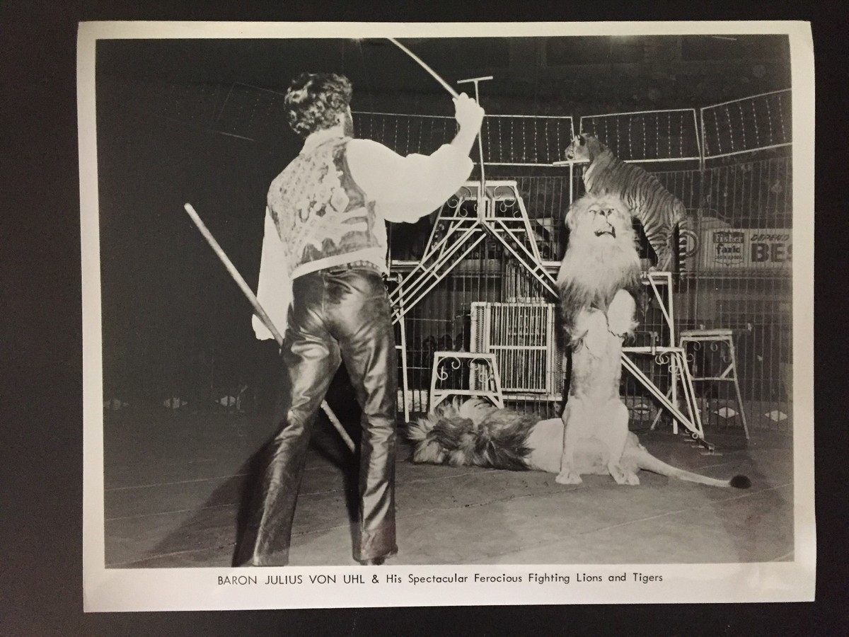 Vintage Circus Lion Tamer Vintage Circus Posters In Pictures | Art