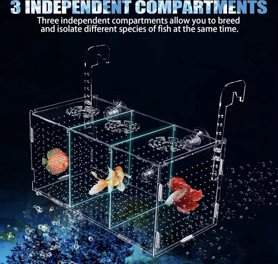 Fish Breeding Box, Acrylic Fish Isolation Box,Fish Separator for ...