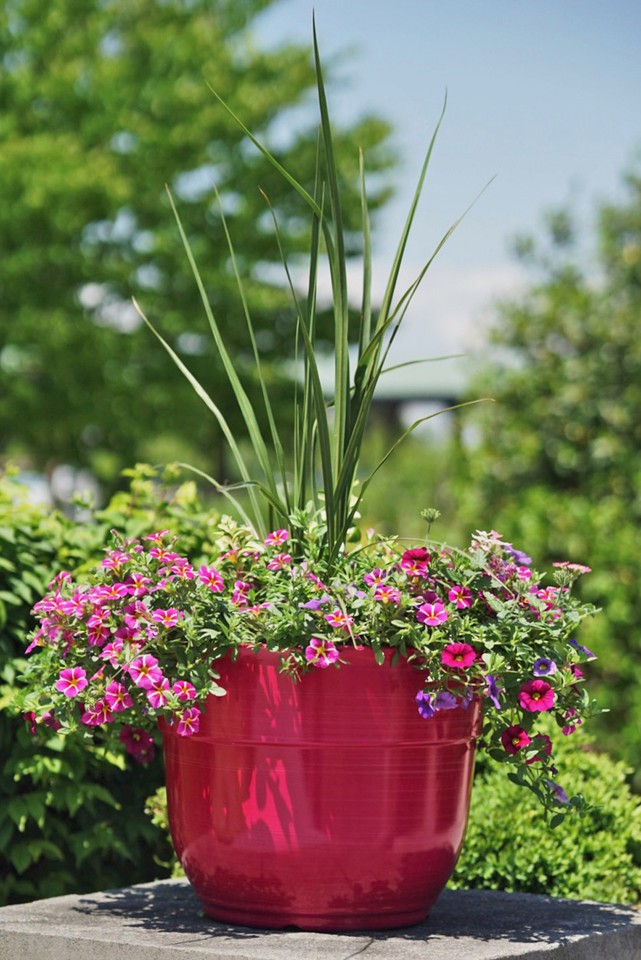 Garden Elements Glazed Brushed Happy Large PLastic Planter, Pink, 15 ...