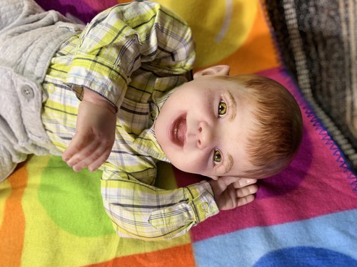 Reborn 26" Toddler Girl Boy Doll Reddish Hair Vinyl Body Kit Ladybug 🐞 ...