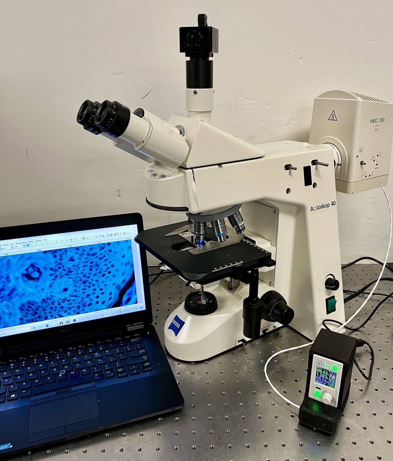 Zeiss Axioskop 40 FL Broadband LED Fluorescence Microscope + Cam | eBay