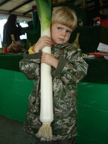 LEEK GIANT EXHIBITION LEEK SEEDS MASSIVE WHITE SHANK 2024/5 NEW SEED ...