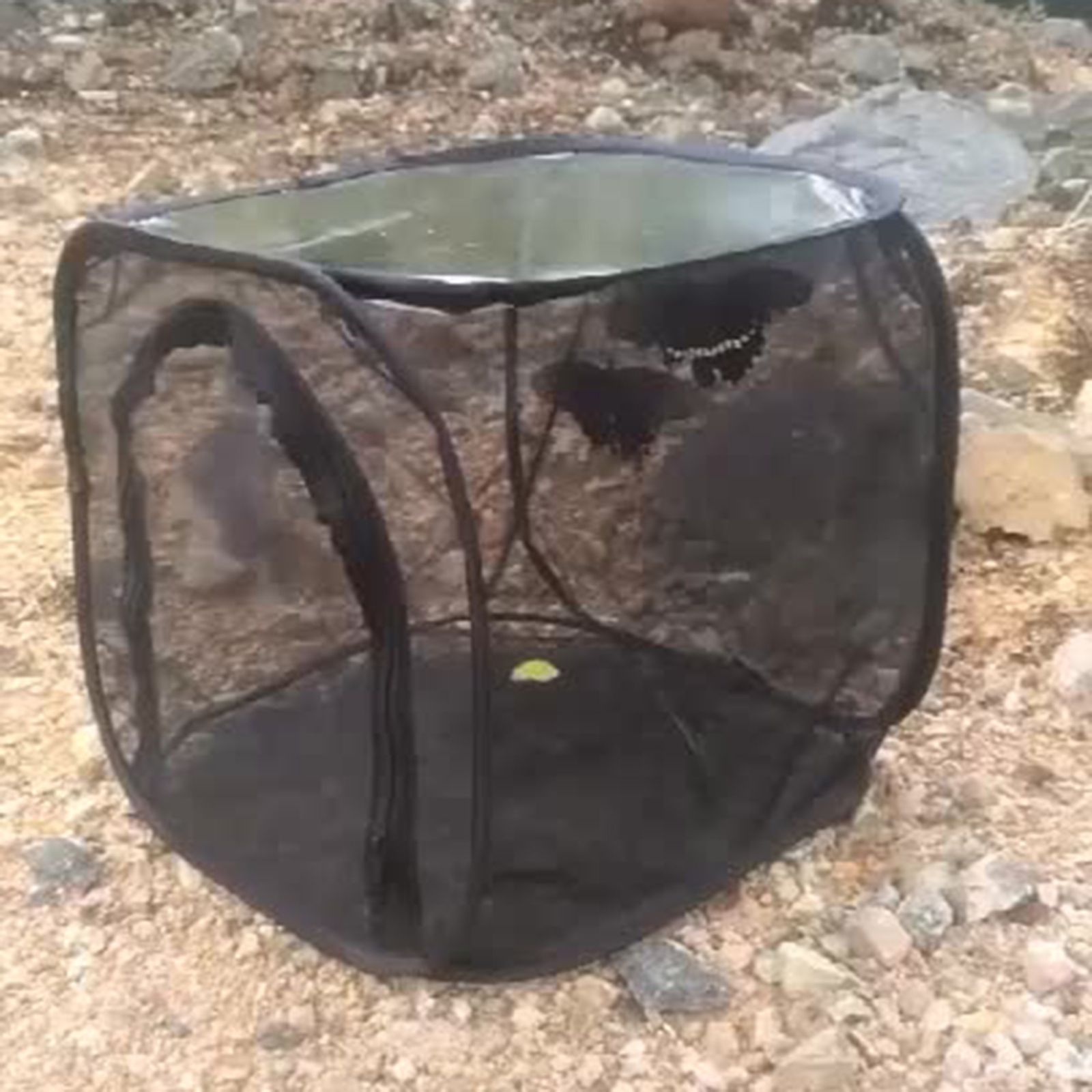 Mantis Stick Insect Butterfly Plant Cage Foldable Enclosure Housing for ...