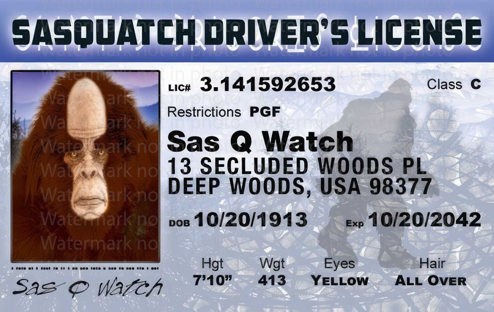 Sasquatch Bigfoot Drivers License Card Novelty ID | eBay