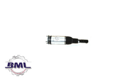 LAND ROVER DISCOVERY 5 MACPHERSON STRUT FRONT LH FROM BWI. PART ...