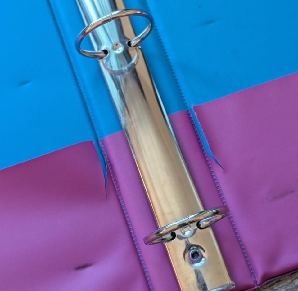 VTG Lisa Frank Trends 3 Ring Binder Rainbow Dalmatian Dog Original 90's ...