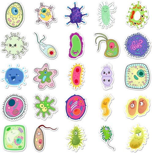 50pcs Germ Meme Stickers Cute Cartoon Waterproof Vinyl Virus Cell | eBay