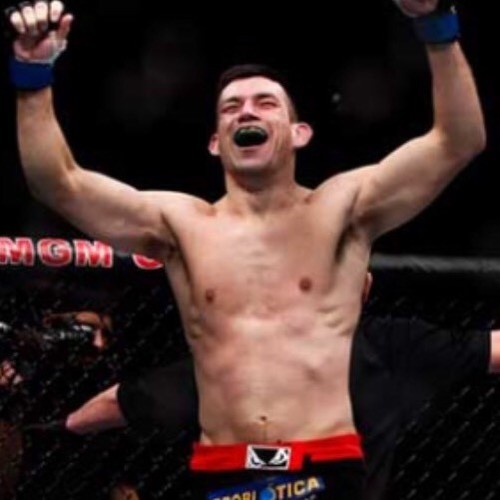 UFC BJJ. VicRoads Custom Number Plates | eBay Australia