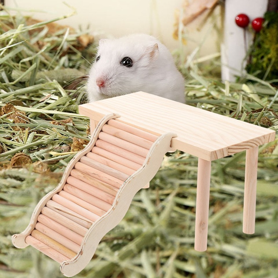 Hamster Cage Toys Staircase High Stand for Hamsters Travel Playing ...