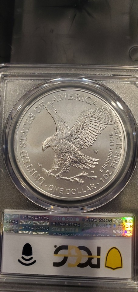 Perfection! 2025-W PCGS SP70 BURNISHED SILVER EAGLE | eBay