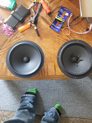 Polk Audio MW8002 8" Woofer for Rt400 Speakers - Great Shape for sale ...