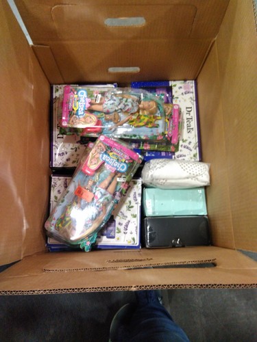 BULQ Liquidation Lot | Uninspected Returns | Health & Beauty | eBay