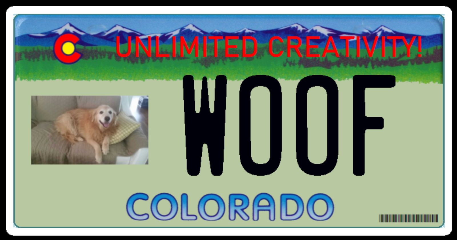 Custom Colorado REFLECTIVE Designer License Plate Tag Reproduction | eBay