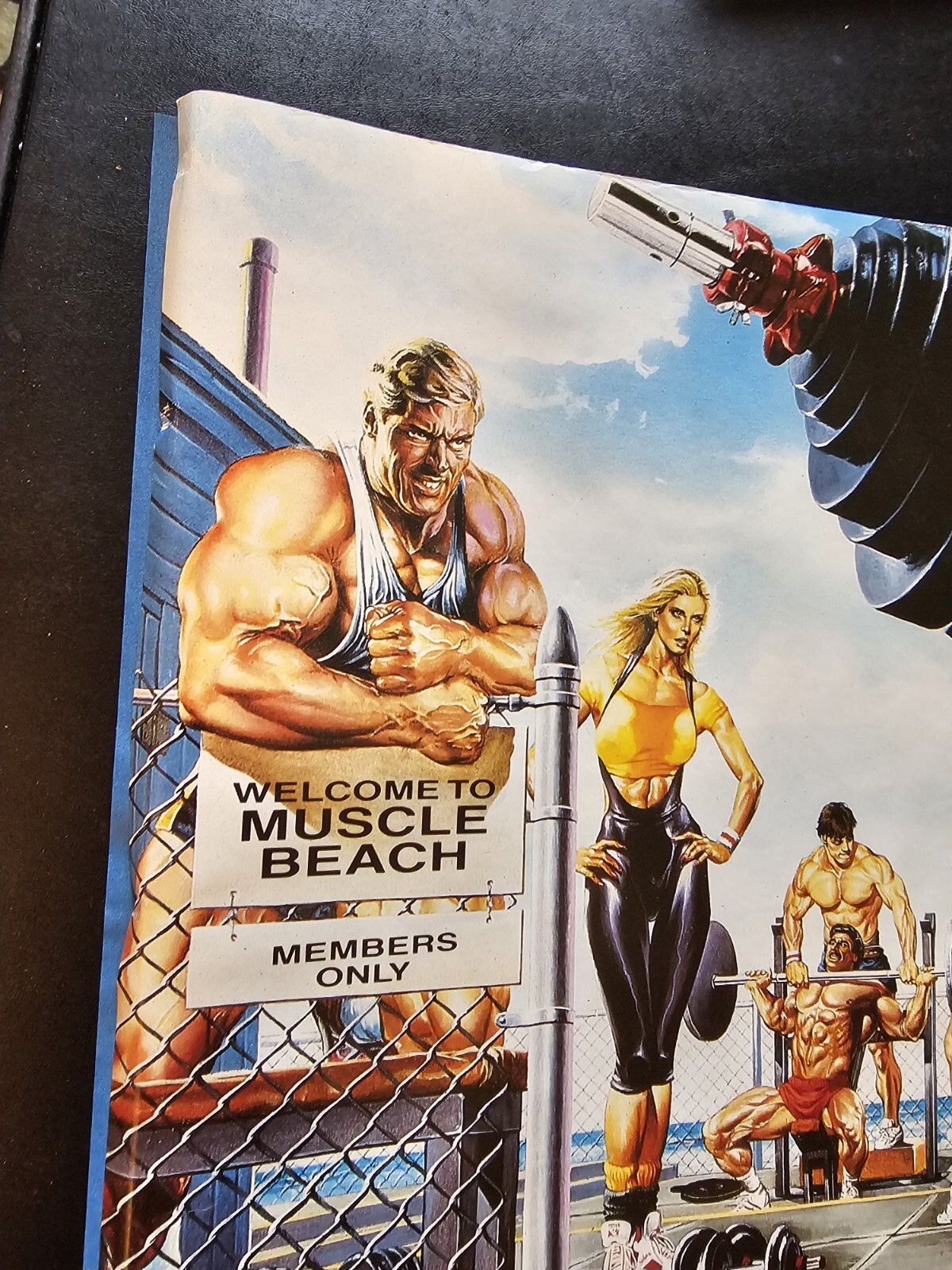 SHE-HULK Muscle Beach Poster - 28in x 22in Poster - 1989 Jusko- Marvel ...