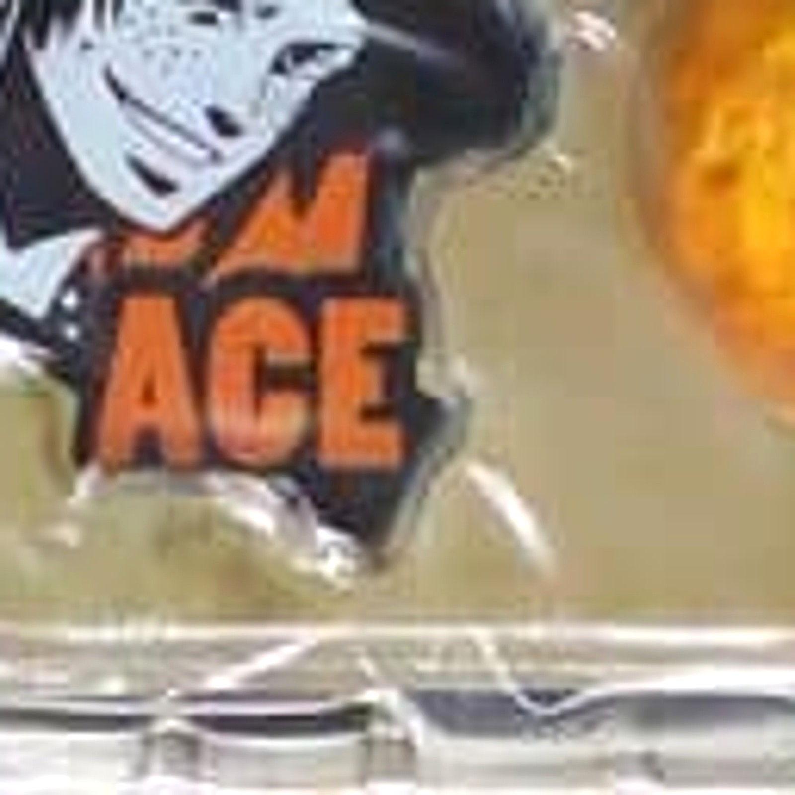 One Piece Portgas D. Ace Ichiban Kuji History Of Ace Devil Fruit ...