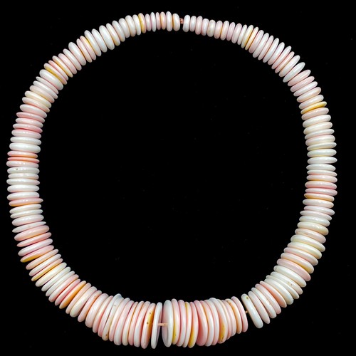Pink Queen Conch Shell Graduated Rondelle Disc Beads Size 8mm to 20mm ...