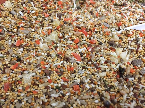 Higgins Sunburst Fruits and vegetable small birds Treats canary finch ...