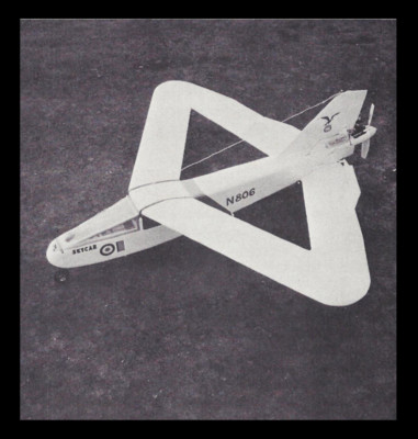 Vintage Skycar Sport Plane Plans,Templates and Instructions 38ws | eBay